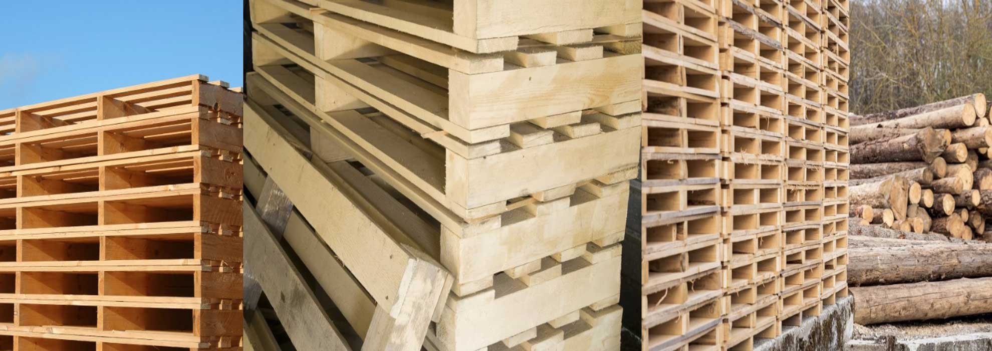 Wood Pallets Tampa Trusts | Premier Pallets
